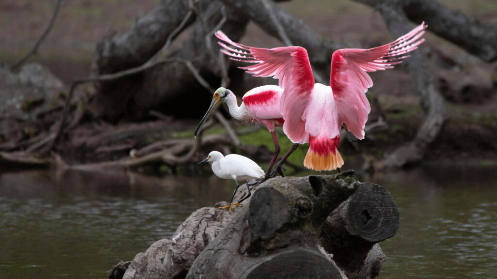 Una escapada natural: la Estación de Conservación del Parque Pereyra ...